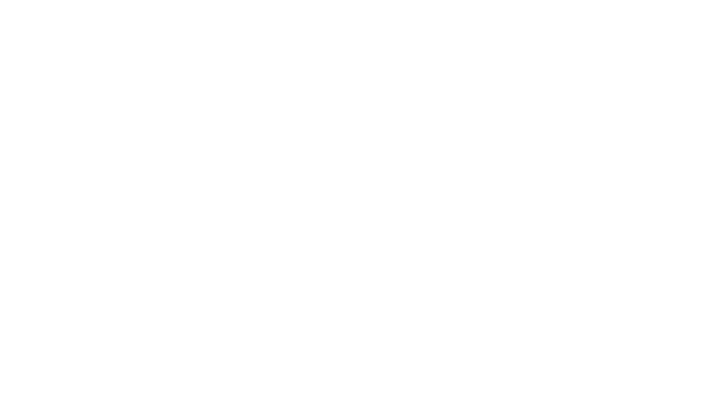 Macfox E-bike X1 Standard Charger